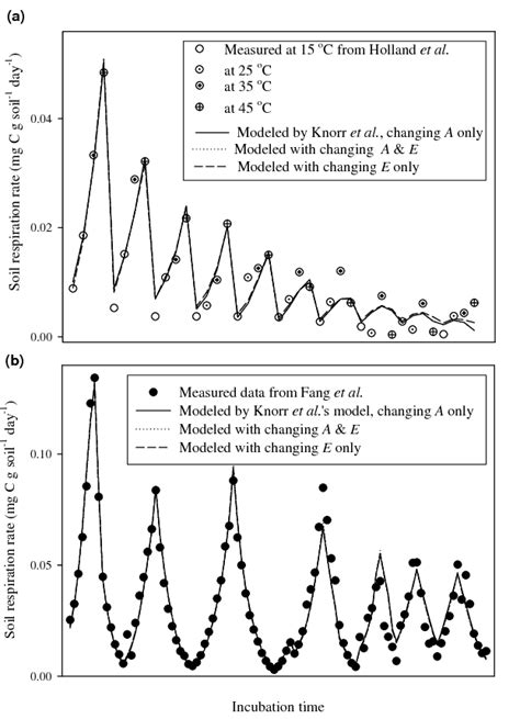 Comparison Between Modelled And Measured Data Among Models Measured Download Scientific