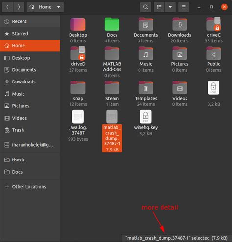 Nautilus File Browser Shows Details For Choosen Item Ask Ubuntu