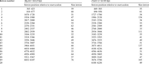 Comparison Of Intron Size And Intron Position Between MgAtr7 From Download Scientific Diagram