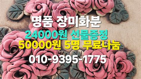 무료나눔 행사 증정 다육 다육화분 다육식물 화분분갈이흙 010 9395 1775 Youtube