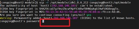 【centos7】centos7集群分发脚本xsync及ssh无密登陆 sync scp xsync权限不够 csdn博客