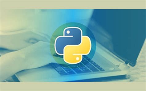 become a professional python programmer free download