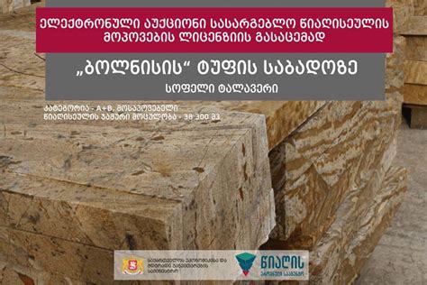 ბოლნისის ტუფის საბადოზე ლიცენზიის მოსაპოვებლად აუქციონი გამოცხადდა 1tv