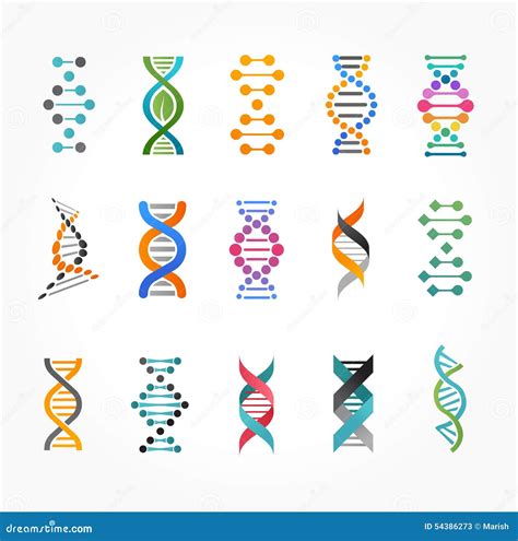 Dna Genetic Elements And Icons Collection Stock Vector Illustration
