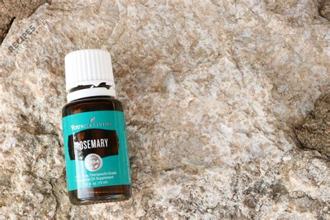 Getting To Know Your Oils Rosemary Essential Oil Recipes With Essential Oils