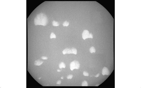 Fluidization And Advanced Imaging Laboratory  Ucl Department Of Chemical Engineering Ucl