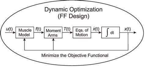 Figure 3 From Forward Dynamic Optimization Of Human Gait Simulations A Global Parameterization