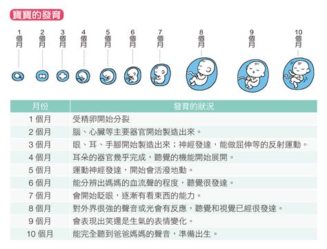 何時會有胎動？不同週次媽媽感受也不同 Heho健康