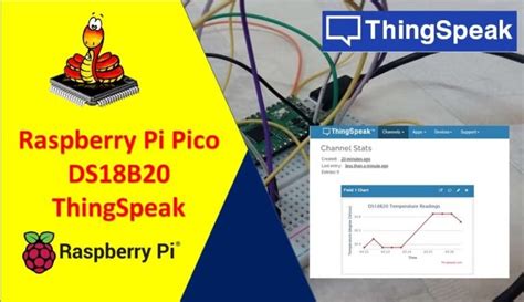 Raspberry Pi Pico Microcontrollers Lab