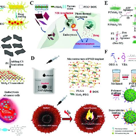 Functionalized Mos 2 Based Nanomaterials For Drug Delivery A