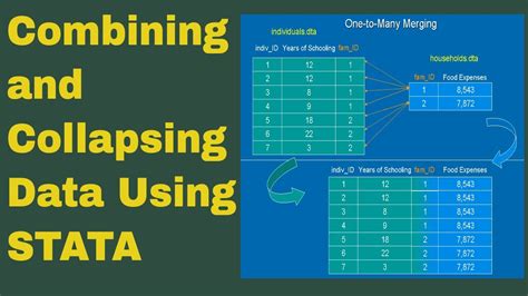 Combining And Collapsing Data Using Stata Youtube