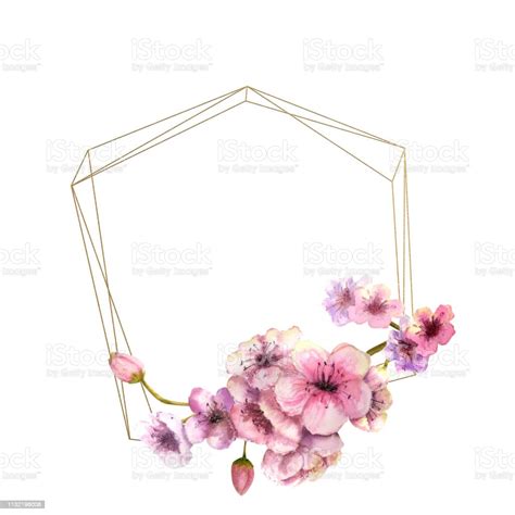 벚꽃 골드 프레임에 분홍색 꽃과 고립 된 흰색 배경에 사쿠라 지점 봄의 이미지 프레임 수채화 그림입니다 디자인 요소입니다 꽃 아래 기하학적 프레임 0명에 대한 스톡 벡터