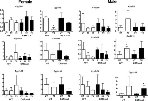 Sexually Dimorphic Regulation And Induction Of P450s By The Constitutive Androstane Receptor