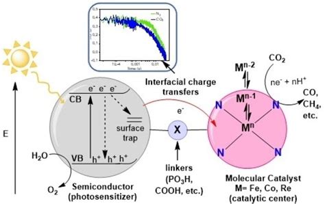 Insights Into The Interfacial Charge Transfer Dynamics In Semiconductormolecular Catalyst