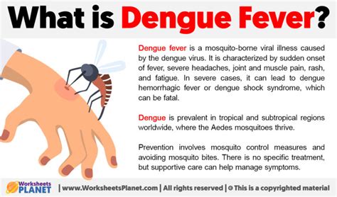 What Is Dengue Fever Definition Of Dengue Fever
