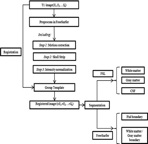 Flow Chart Of Analysis Pipeline Download Scientific Diagram