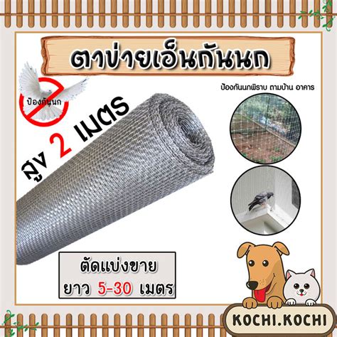 ตาข่ายกันนกพิราบ สูง 2เมตร แบ่งขายยาว 5 30เมตร ขนาดตา 3 4นิ้ว ตาข่ายเอ็นกันนก ตาข่ายล้อมแปลงผัก