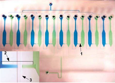 Figure 1 From Microfluidic Elisa On Non Passivated Pdms Chip Using Magnetic Bead Transfer Inside