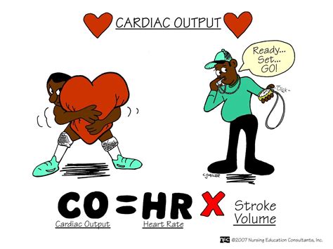 What Is Cardiac Output Cardiac Output Facebook