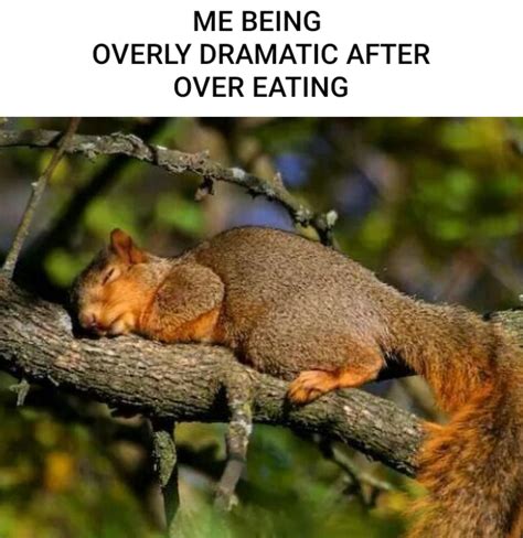 Overly Dramatic Squirrel