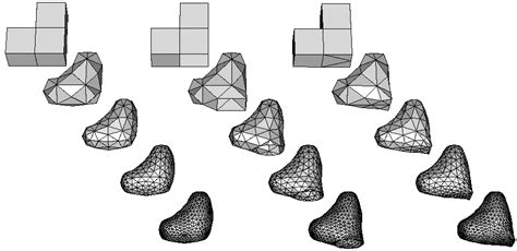3d Polyhedral Surfaces