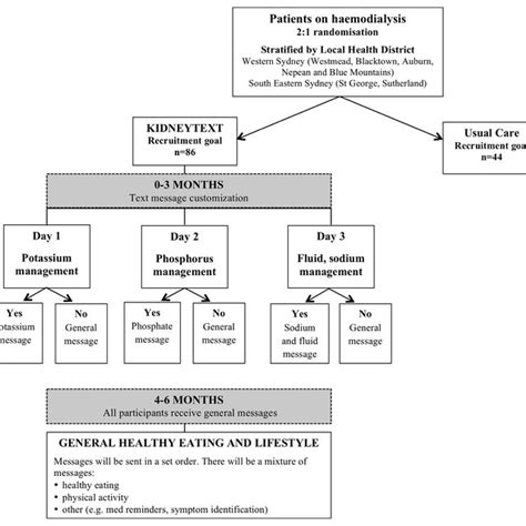 Text Message Allocation Download Scientific Diagram