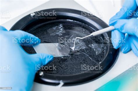 Laboratory Assistant Works On A Rotary Microtome Section And Making Microscope Slides Stock