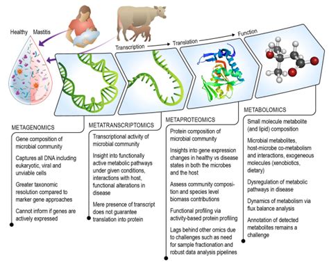 Interrogating The Role Of The Milk Microbiome In Mastitis In The Multi