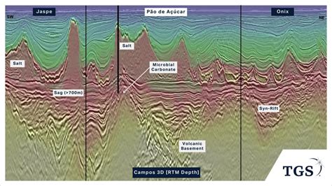 [video] Saumitra Gupta On Linkedin Learn More About Our Data Coverage In Offshore Brazil
