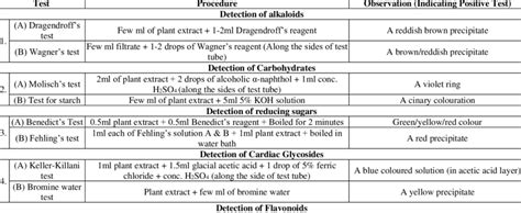 Procedure Of The Phytochemical Tests Performed Download Scientific