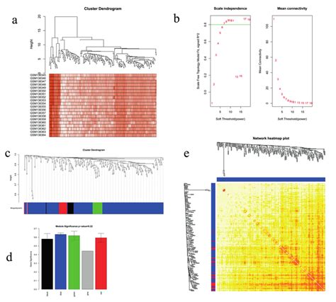 Construction Of Weighted Correlation Sub Networks For Upregulated
