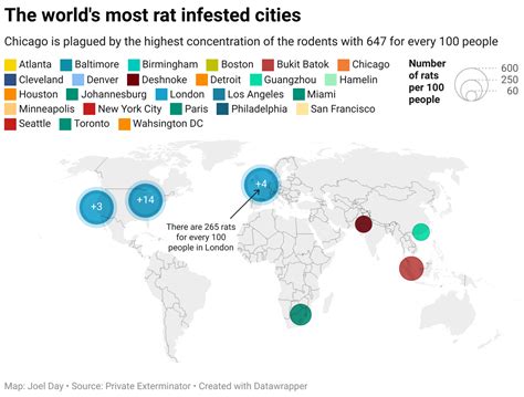 The Worlds Top 25 Most Rat Infested Cities Including Entries From The Uk World News