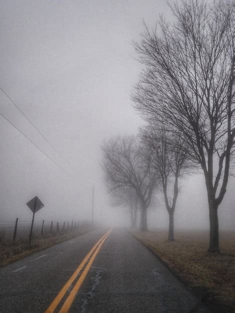 Premium Photo The Path Forward