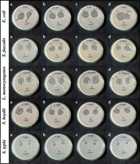 Antagonistic Activity Of The Encapsulated Probiotics Asd Spray Dried Download Scientific