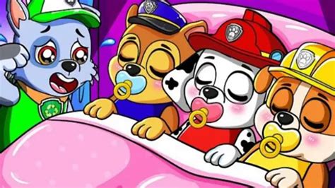 汪汪队动画：灰灰不小心把狗狗们变成了小奶狗 花瓣网