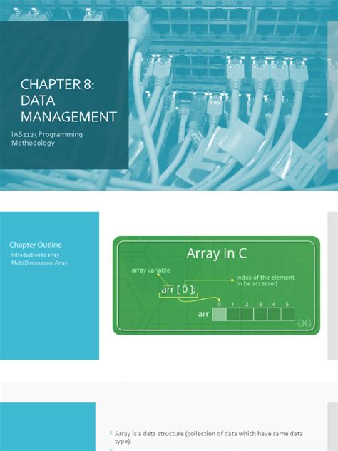 ch8 datamanagement array pdf computer program programming