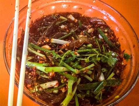 Researching The Nuosu Yi Language In Sichuan Gokunming