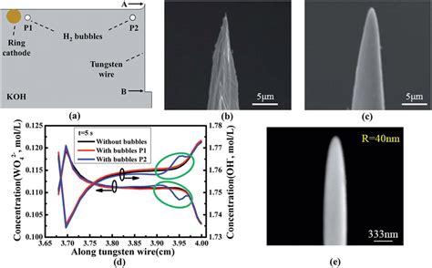 The Effect Of Ionic Diffusion A The Simulation Model Built To