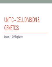 Understanding DNA Replication Key Steps And Processes Course Hero