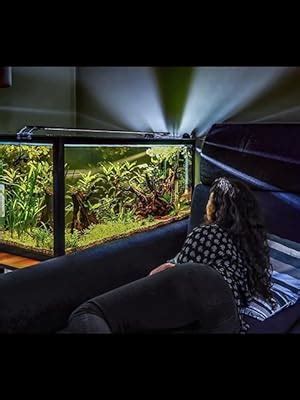 Finnex KL-C36A Planted+ 24/7 LED v2 Aquarium Light 36" : Amazon.ca: Pet ...