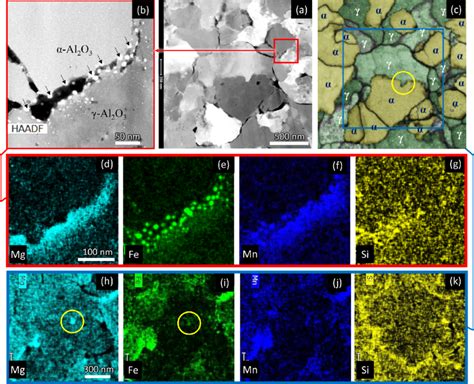 Elemental Segregation At α γ Phase Boundaries In The α Rich Region Of Download Scientific
