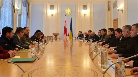 ქართული დელეგაცია რუსლან სტეფანჩუკს ხვდება