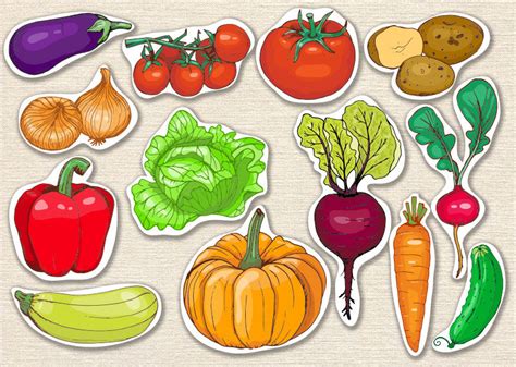 Vector Set Of Hand Drawn Vegetables By Nesterovas Shop Thehungryjpeg