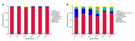 Figure Bacterial Community Dynamics Among Larvae And Adults In A Download Scientific Diagram