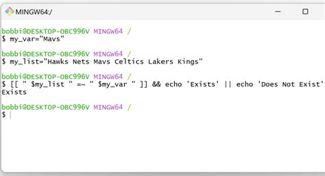 Bash How To Check If Variable Exists In A List Collecting Wisdom