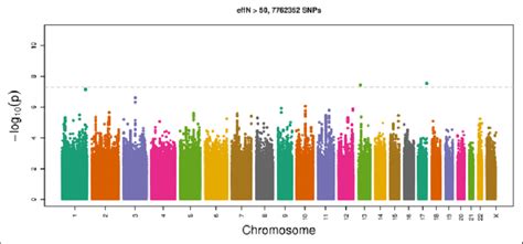 Manhattan Plot Showing The Chromosomal Position And Log 10 P Value