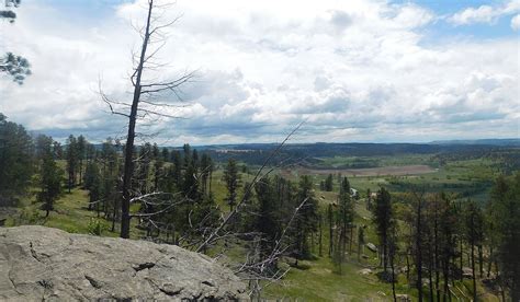 Wyoming Elk Habitat Is 45 Million Richer Thanks To Rmef