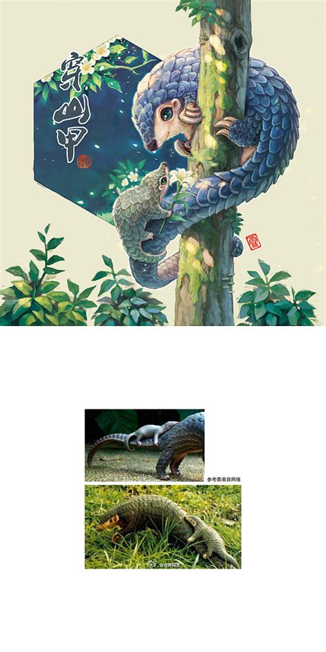 穿山甲 我诞生在中国 生物多样性 不能养就画一只系列 雪娃娃童画 保护野生动物