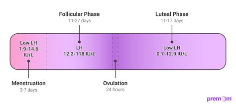 Lh Hormone Levels What Is Normal Premom