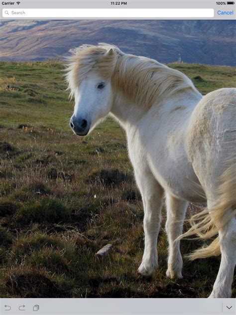 Ios Prevent Uisearchcontroller From Displaying